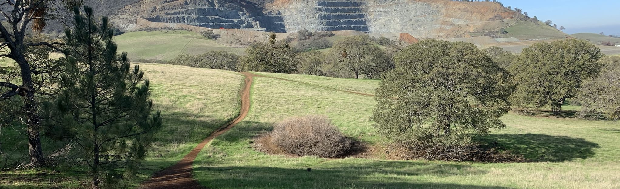 Mount Diablo State Park Extended Loop: 26 Reviews, Map - California ...