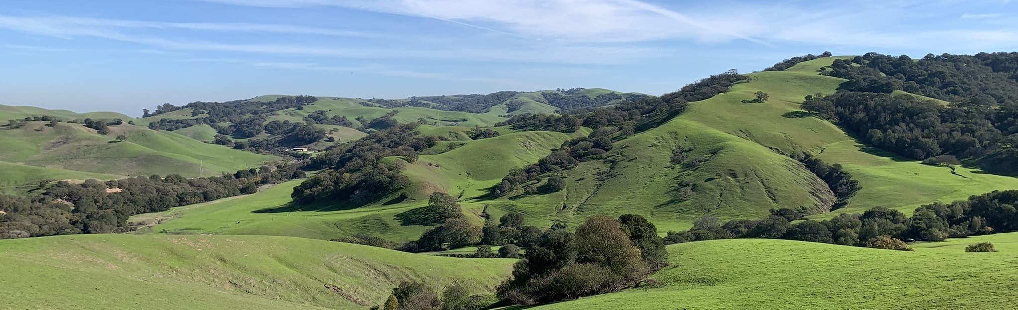 Franklin Canyon via Woodmill and Goat Road Loop: 154 Reviews, Map ...