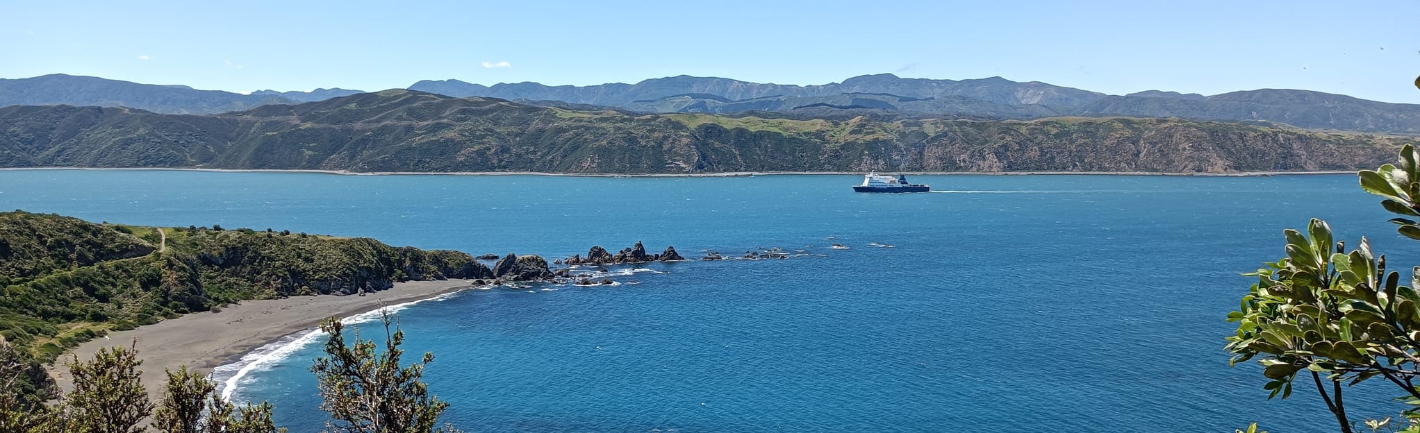 Eastern Walkway, Wellington, New Zealand - 72 Reviews, Map | AllTrails