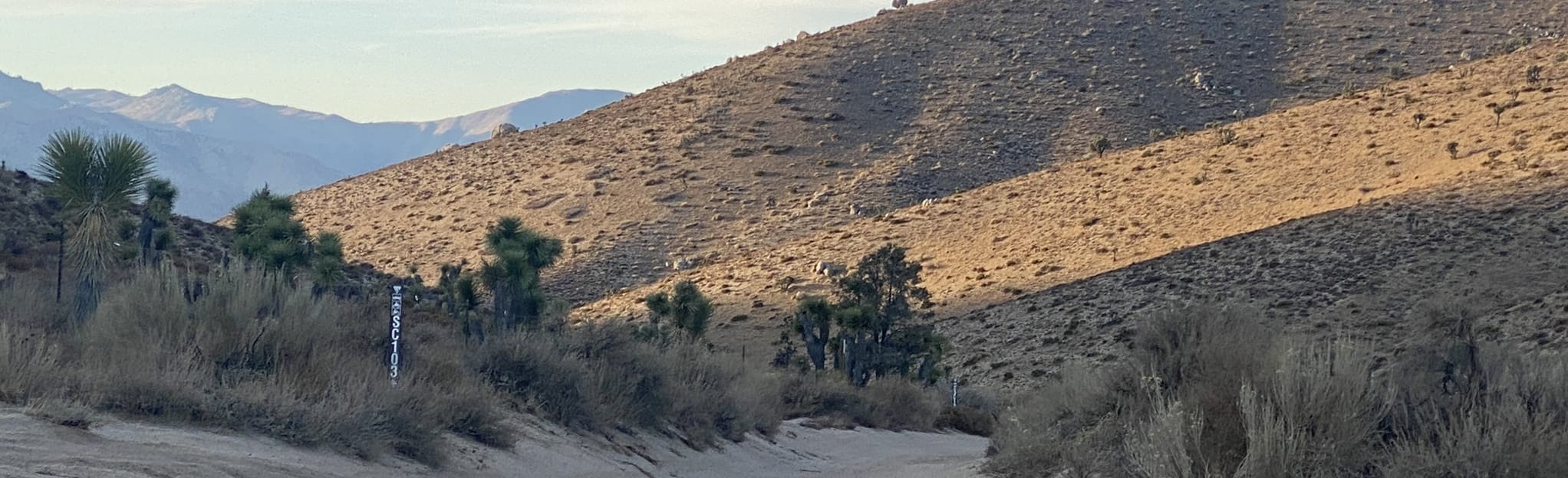 Dove Spring Canyon OHV Trail, California - 20 Reviews, Map | AllTrails