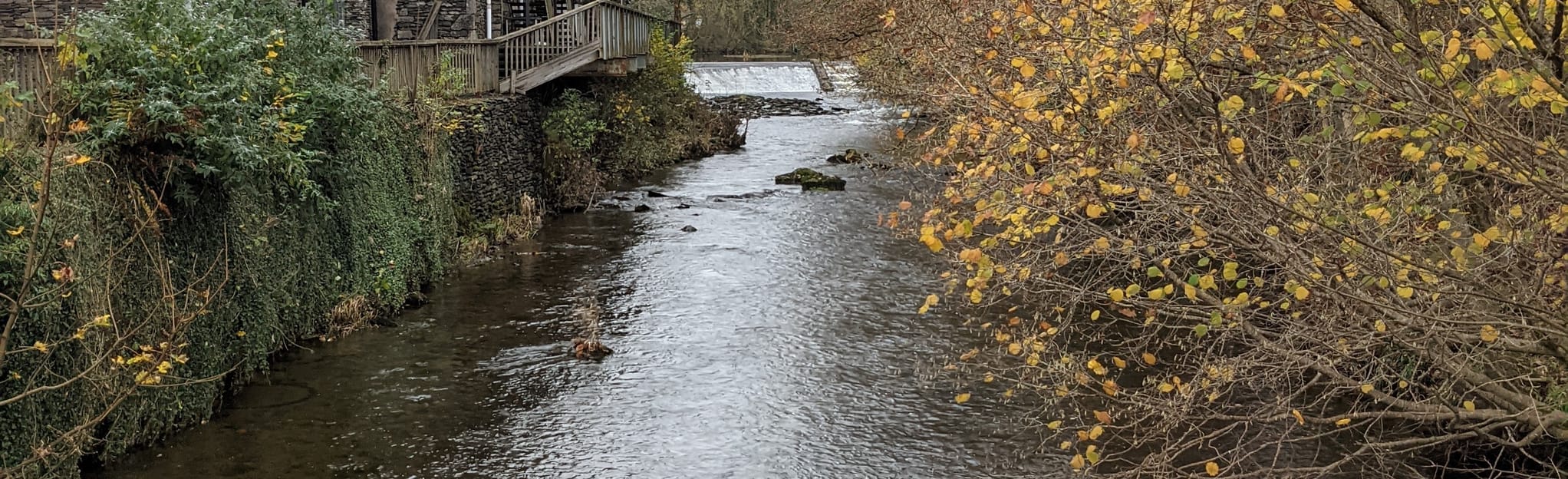 Staveley Riverside: 39 Fotos - Cumbria, England | AllTrails