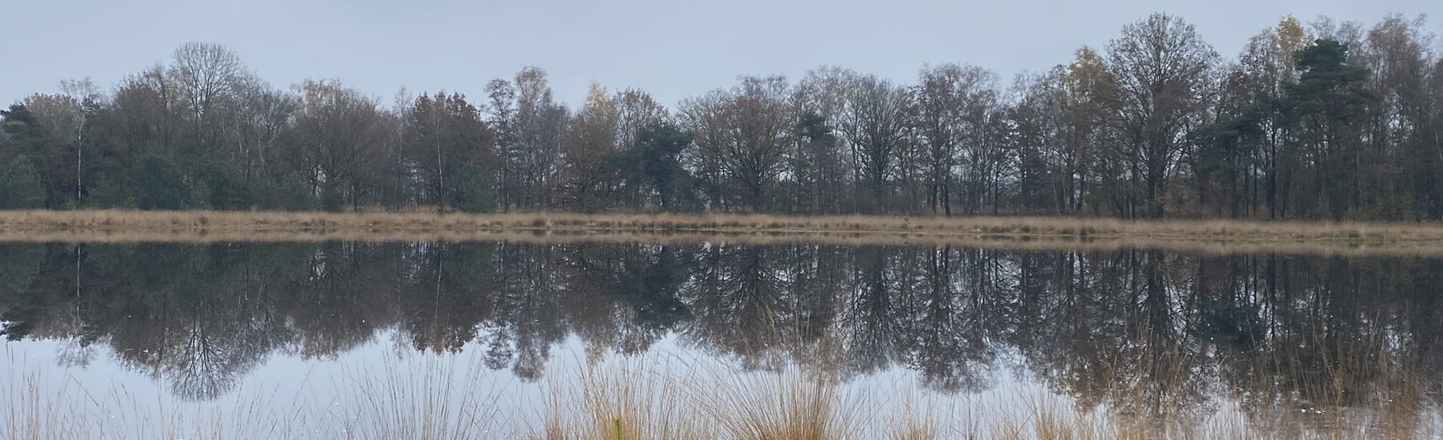 Hooge Mierde - Zwartven: 4 Reviews, Map - North Brabant, Netherlands ...