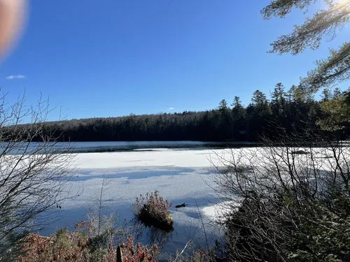 Best Hikes and Trails in Kettle Pond State Park | AllTrails