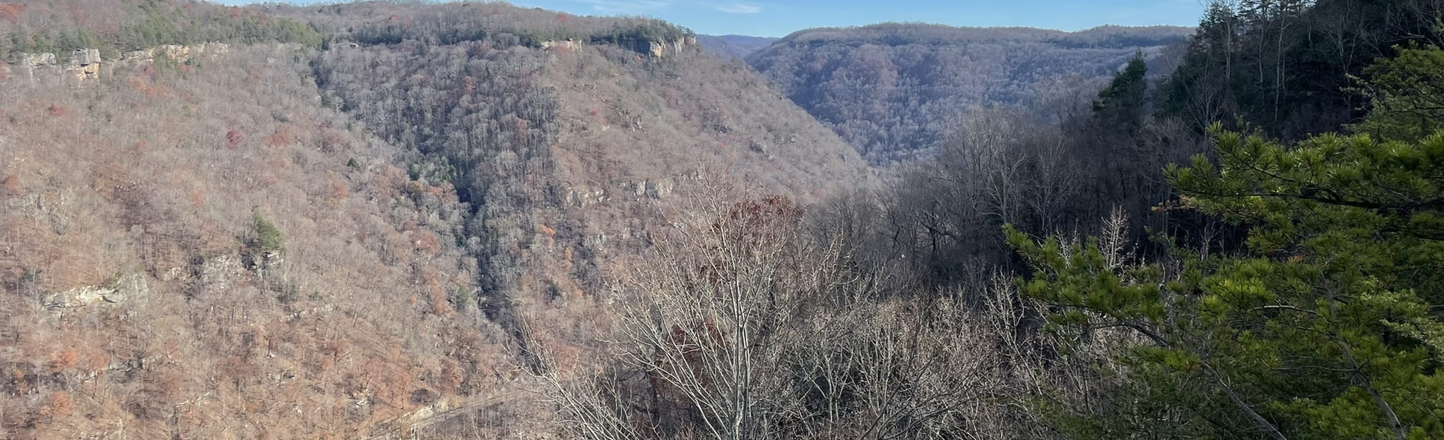 Long Point Trail: 3648 Reviews, Map - West Virginia | AllTrails