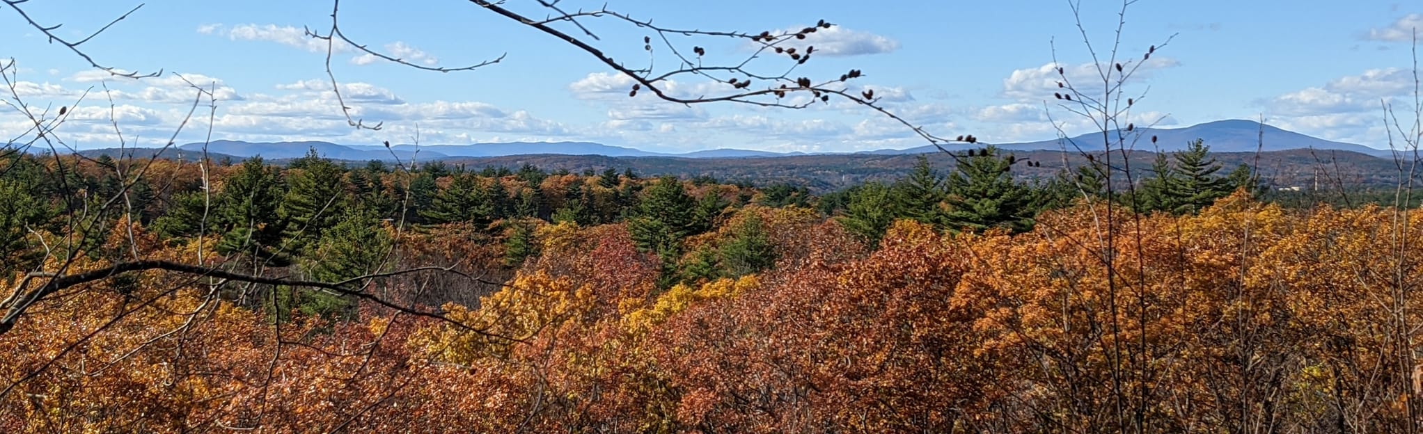 Oak Hill Lower Trails: 238 Reviews, Map - New Hampshire | AllTrails