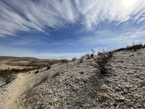 2023 Best Mountain Biking Trails in Big Bend Ranch State Park | AllTrails