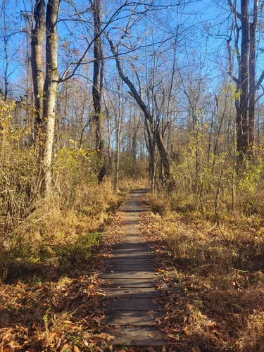 Best Hikes and Trails in Summerfield | AllTrails