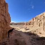 Miller Point and Juniper Draw Loop, Nevada - 127 Reviews, Map | AllTrails