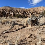 Miller Point and Juniper Draw Loop, Nevada - 127 Reviews, Map | AllTrails