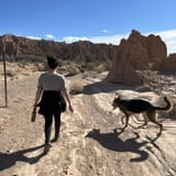 Miller Point and Juniper Draw Loop, Nevada - 127 Reviews, Map | AllTrails
