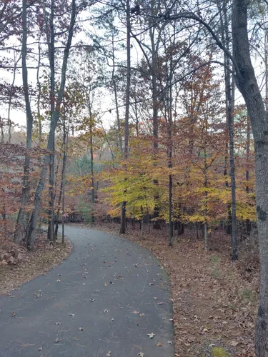 10 Best Trails and Hikes in Suwanee | AllTrails