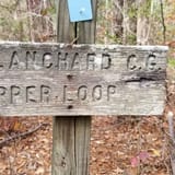 North Sylamore Creek Trail, Arkansas - 260 Reviews, Map | AllTrails