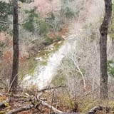 North Sylamore Creek Trail, Arkansas - 260 Reviews, Map | AllTrails