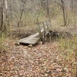 North Sylamore Creek Trail, Arkansas - 260 Reviews, Map | AllTrails