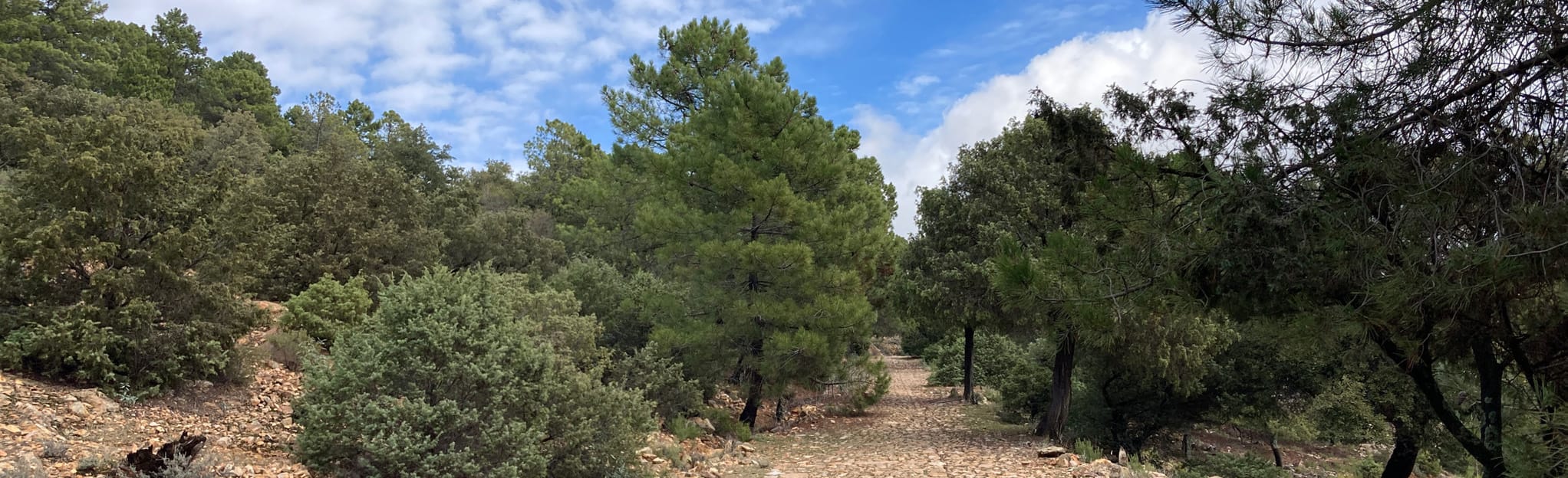 Sendero Empedraillo: 12 foto's - Jaén, Spanje | AllTrails