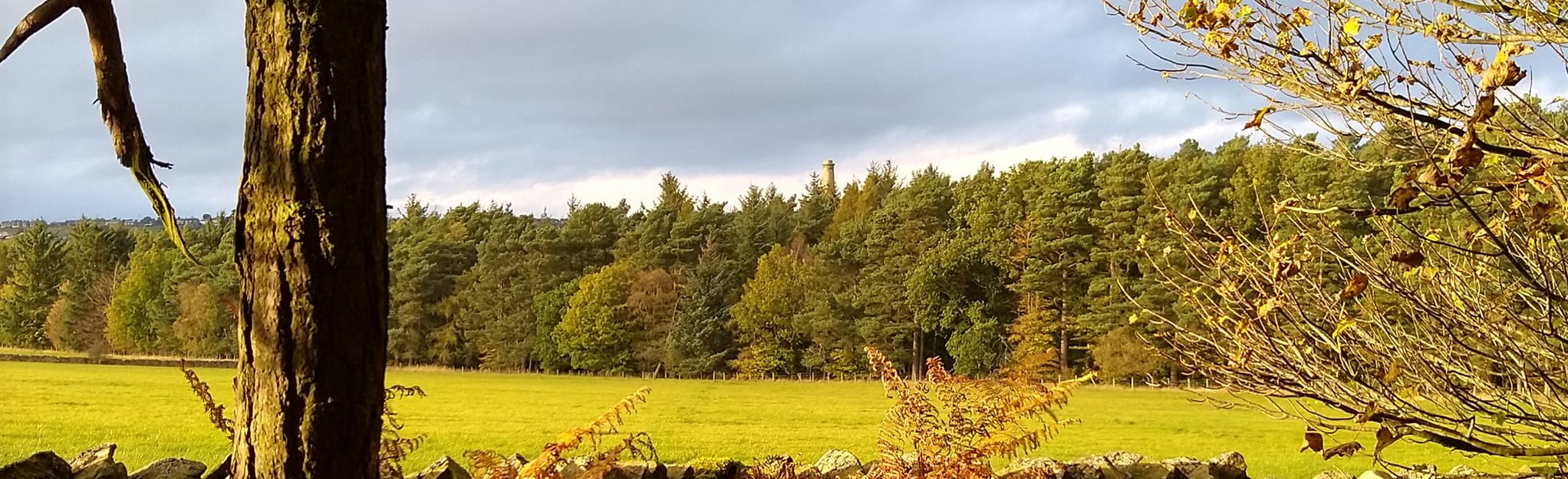 Cockfield Fell and Gibbsneese Plantation: 5 Reviews, Map - County ...