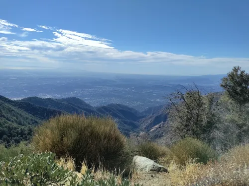 Best Hikes and Trails in Chantry Flat Recreation Area | AllTrails