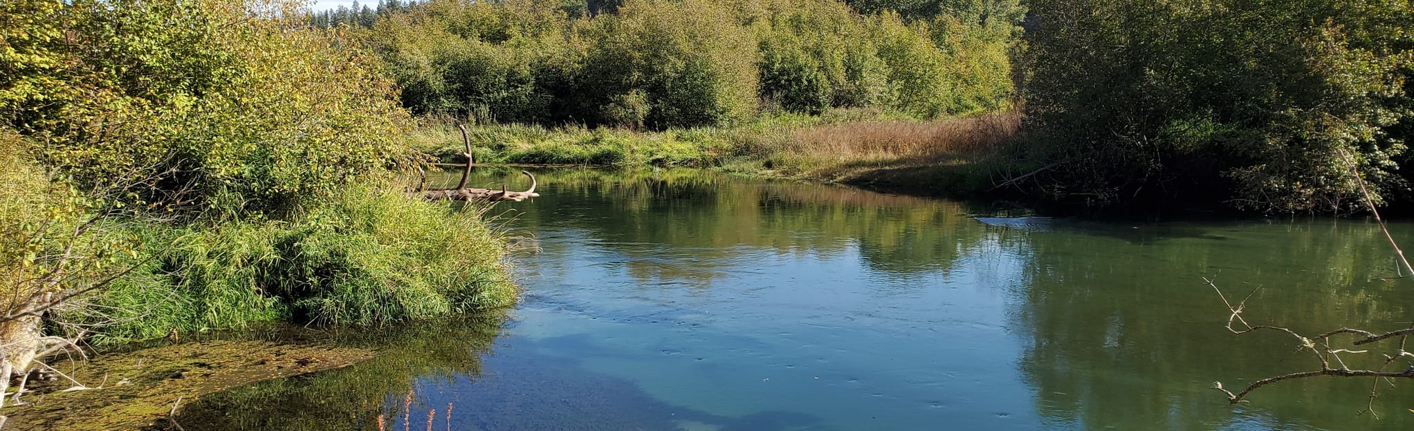 Indian Painted Rock and Knothead Valley Loop - Washington | AllTrails