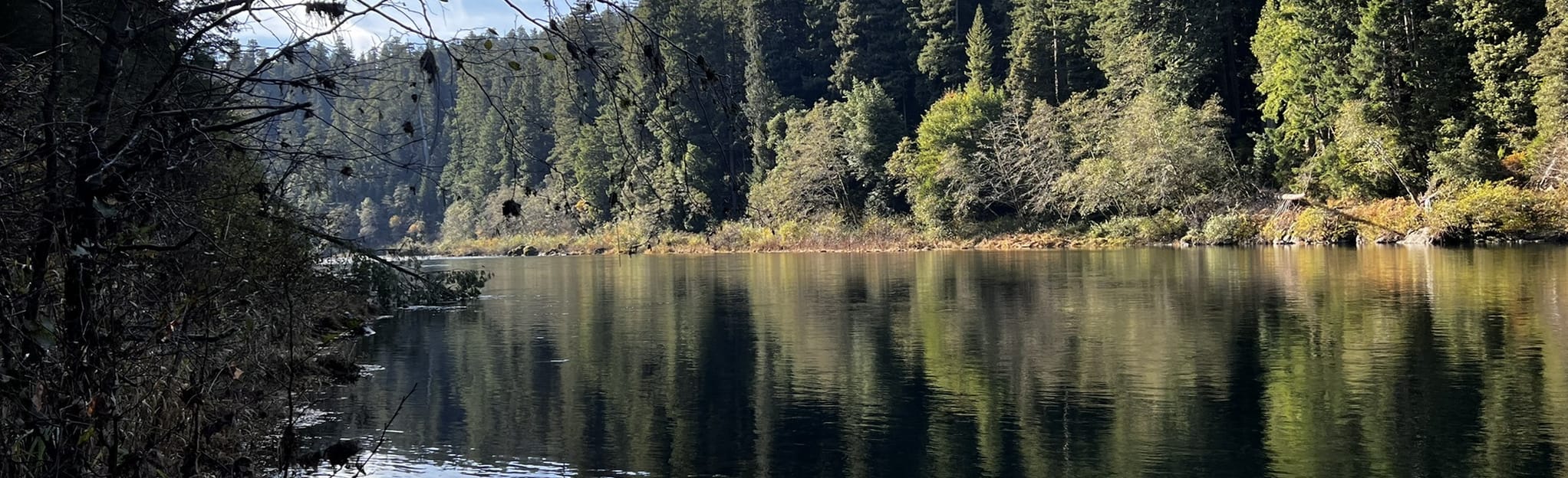 Jedediah Smith Campground: 127 Reviews, Map - California | AllTrails