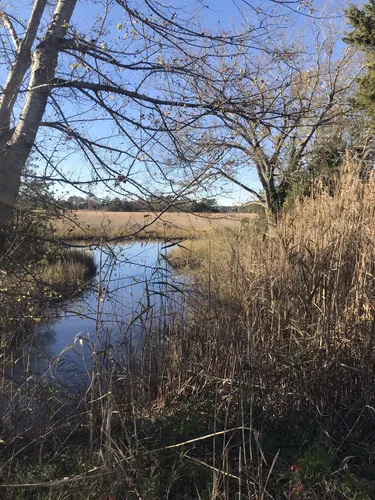 Best Hikes and Trails in Bells Mill Park | AllTrails