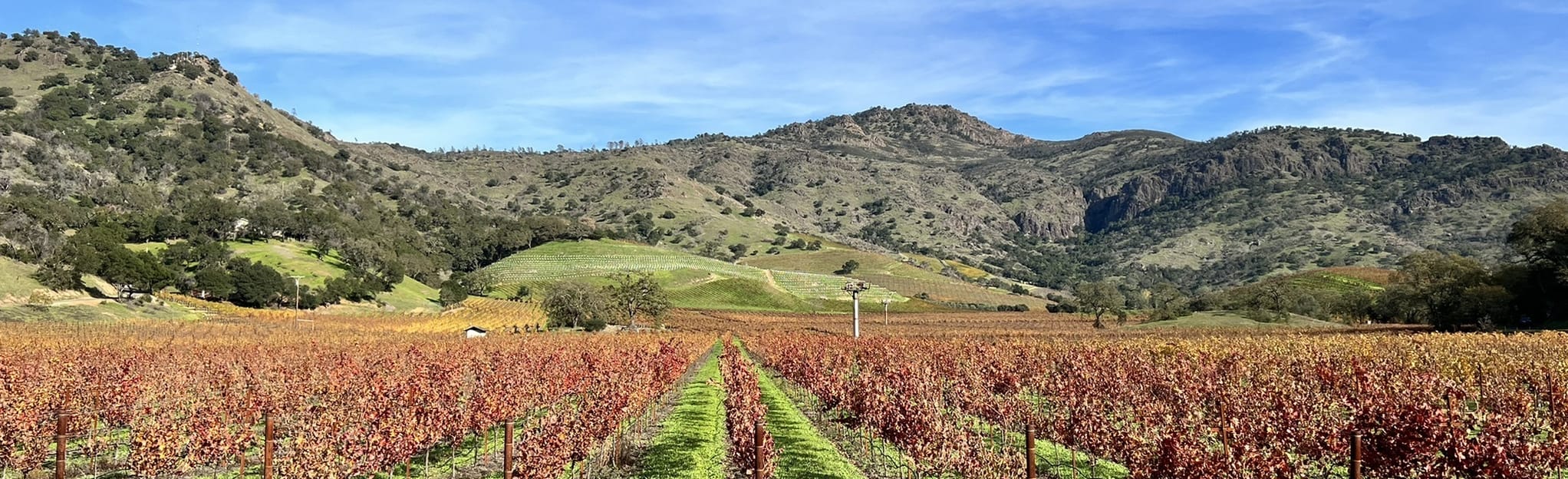 Silverado Trail: Napa to Calistoga: 41 Reviews, Map - California ...