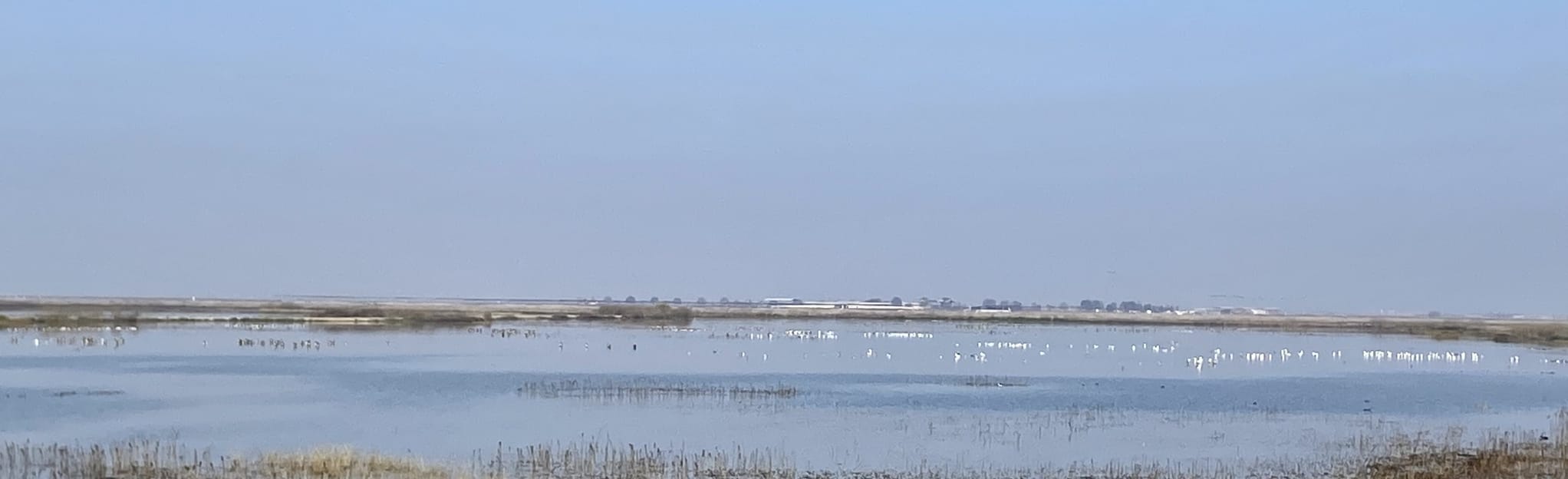 Pixley National Wildlife Refuge Interpretive Trail: 3 Reviews, Map ...