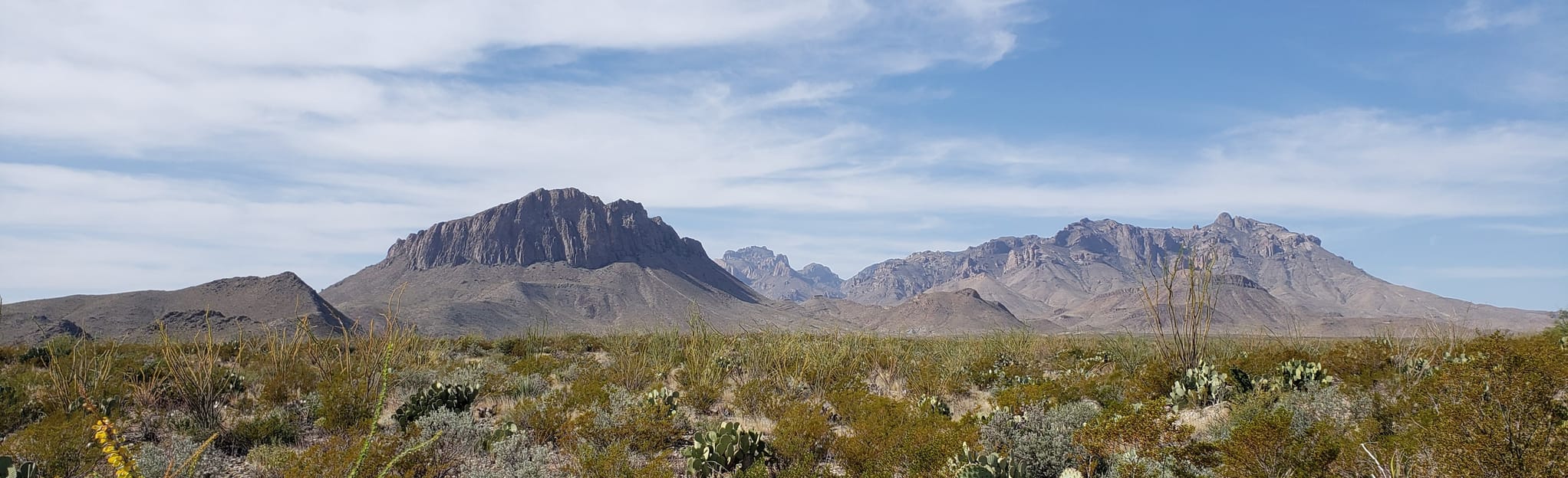 Chihuahuan Desert Nature Trail, Texas - 121 Reviews, Map | AllTrails