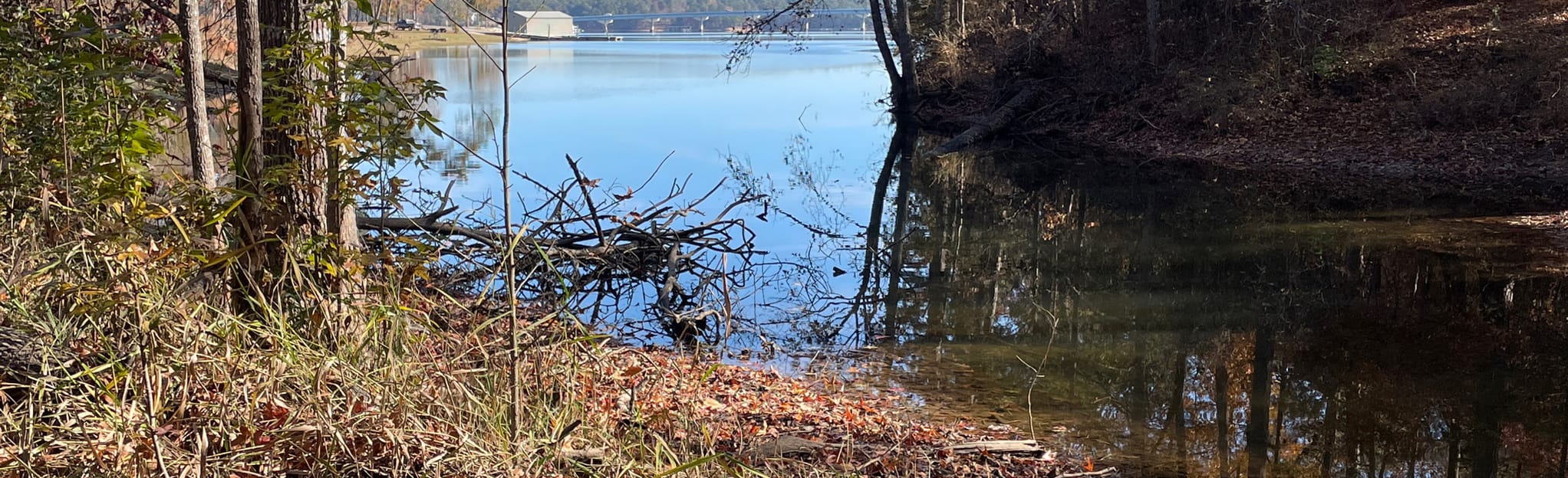 Elijah Clark State Park Trail: 105 Reviews, Map - Georgia | AllTrails