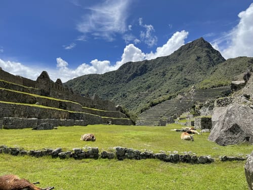 2023 Best No Dogs Trails in Machu Picchu Historic Sanctuary | AllTrails