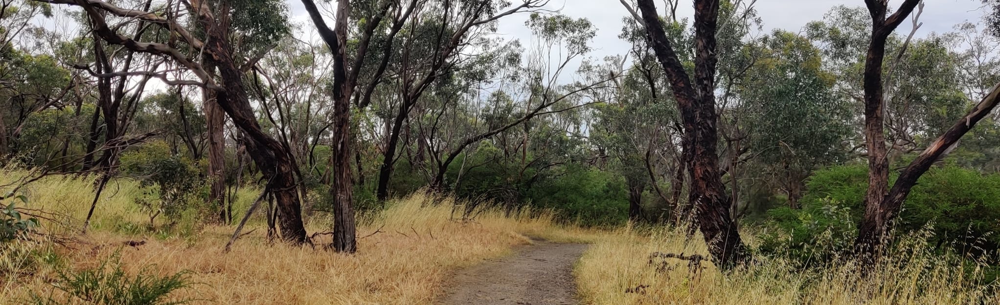 Tangari Regional Park Mountain Bike Trail, South Australia, Australia ...