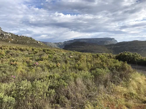 10 Best Mountain Biking Trails in Cape Town | AllTrails