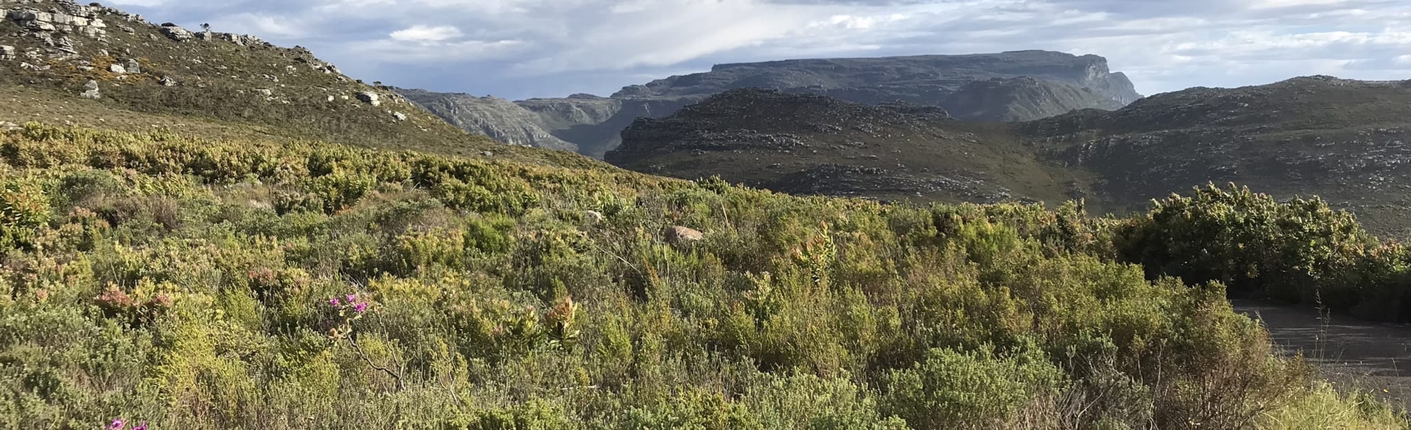 Tokai to Constantiaberg Mast, Western Cape, South Africa - 6 Reviews ...