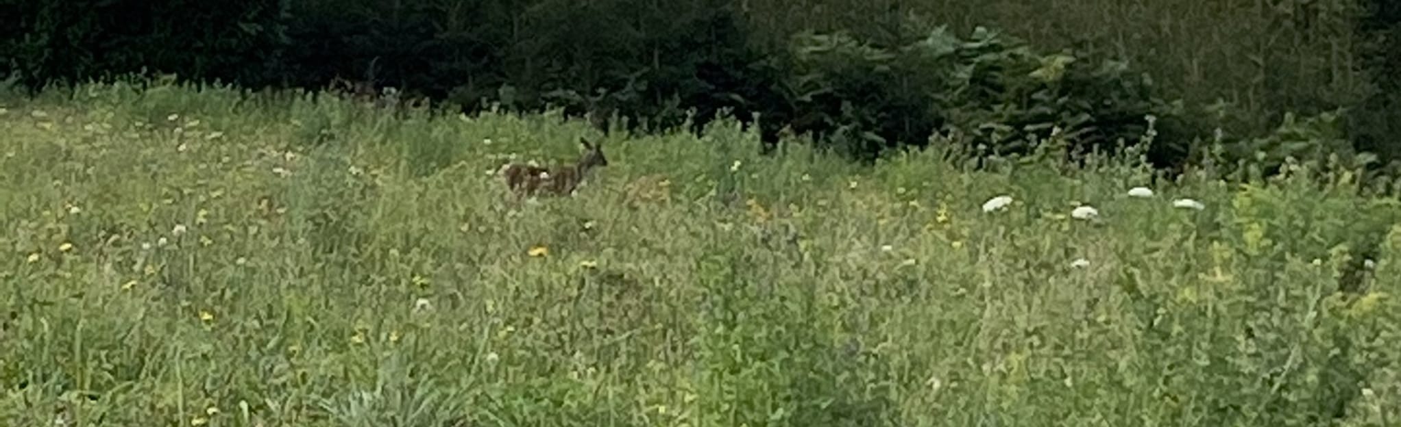 Neuvic Entier, Notre-Dame Loop | Map, Guide - Haute-Vienne, France#N ...