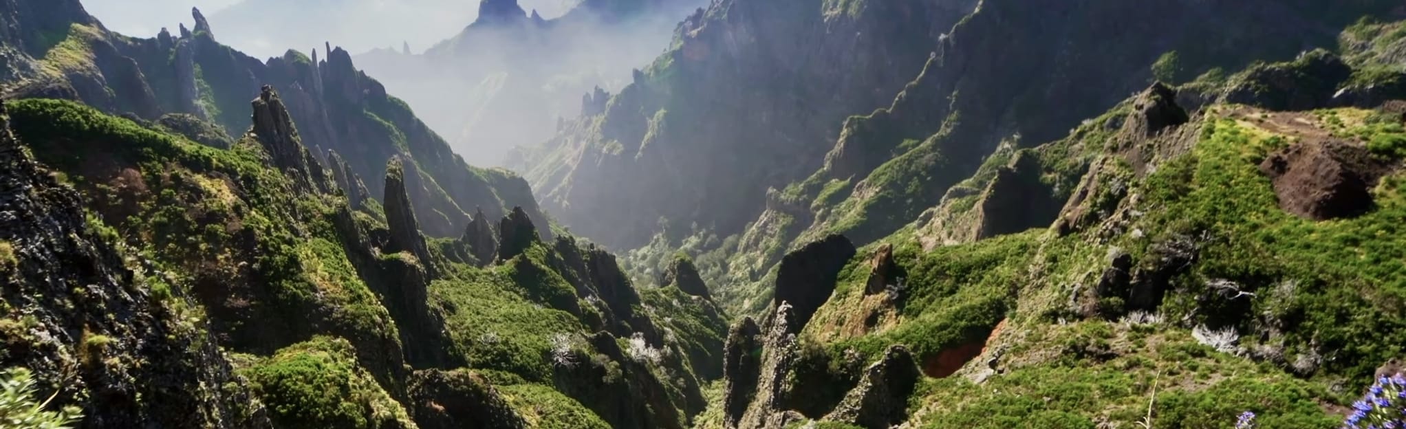 MIUT® - Madeira Island Ultra-Trail®: 29 Reviews, Map - Madeira ...