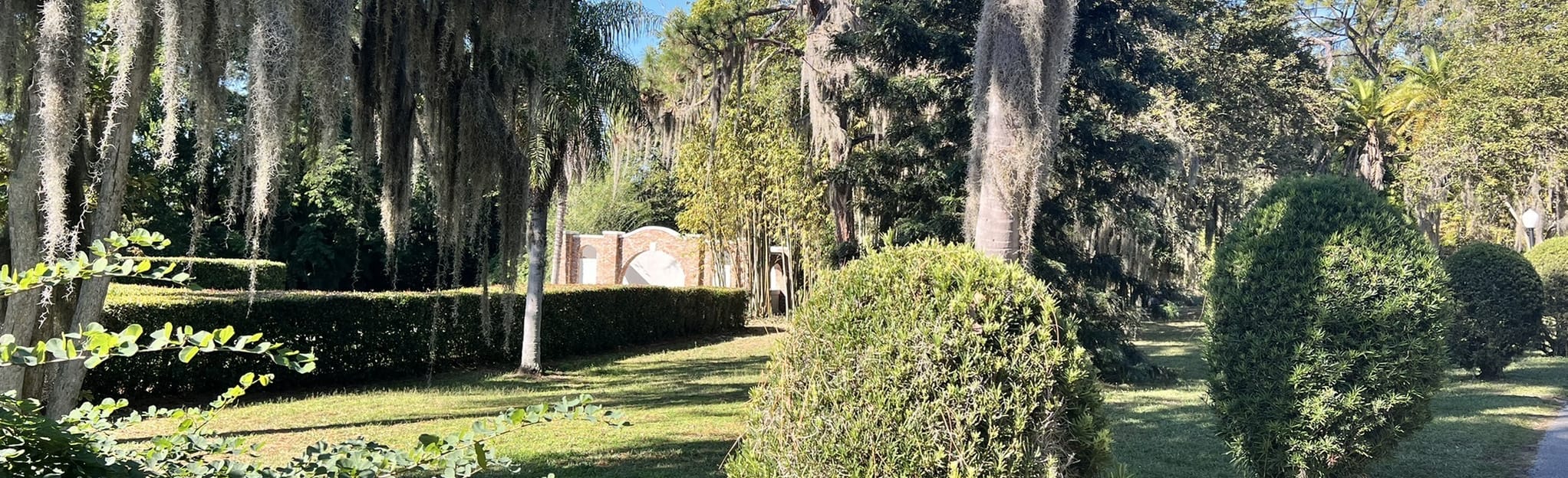 Lake Rochelle Yellow Trail: 51 Reviews, Map - Florida | AllTrails