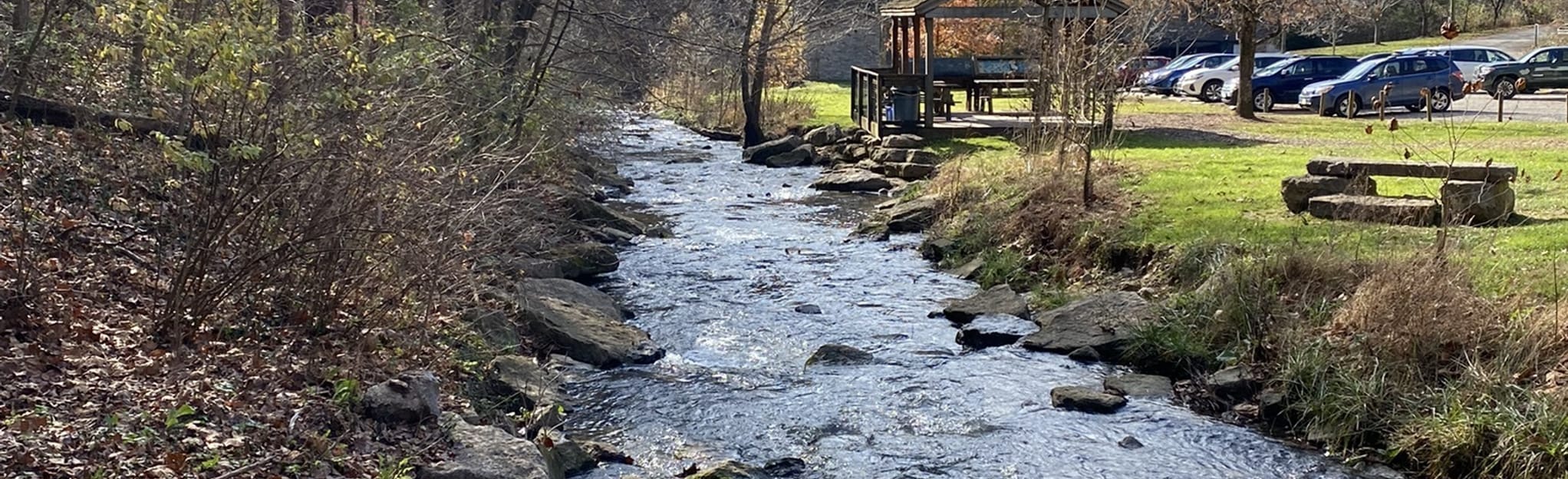 Lower Holly Loop Trail: 394 Reviews, Map - Kentucky | AllTrails