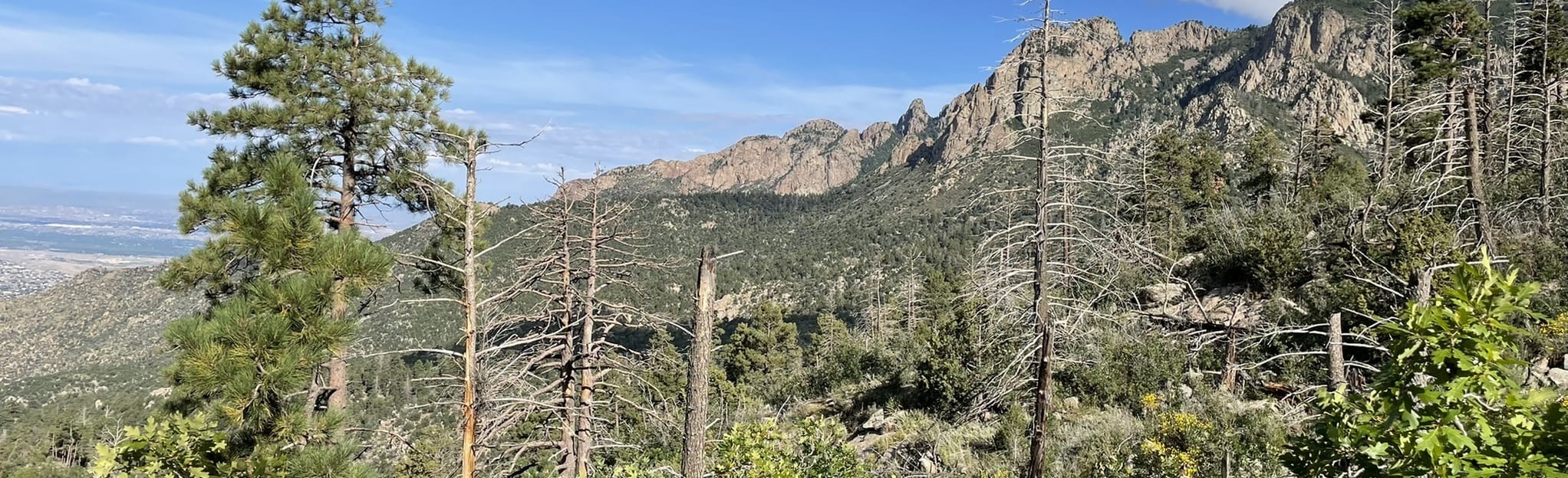 Sandia Mountains Backpacking Loop, New Mexico - 18 Reviews, Map | AllTrails