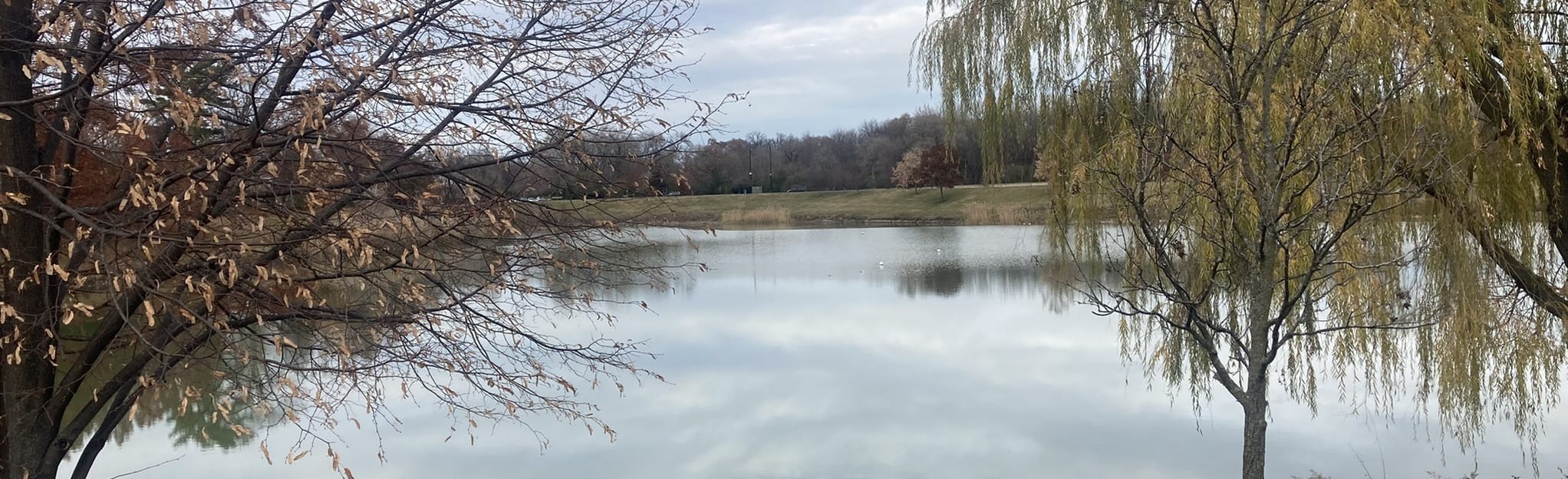 Louis Reservoir Loop: 16 Reviews, Map - Illinois | AllTrails