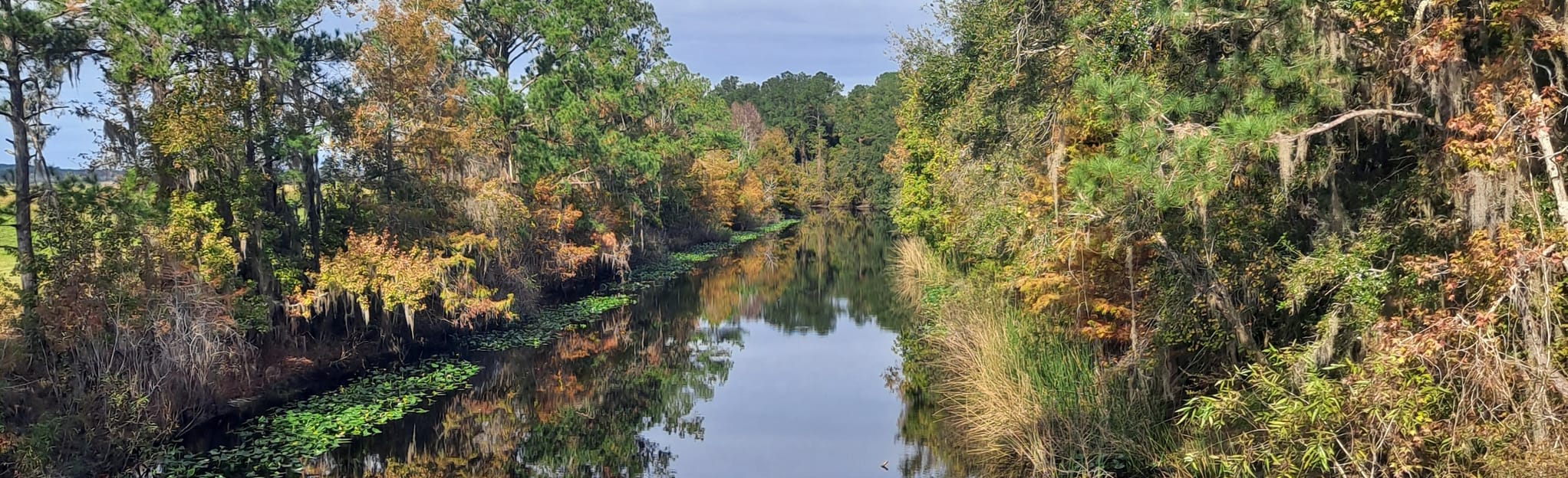 AllTrails | Levee Trail Loop: 61 Reviews, Map - Florida