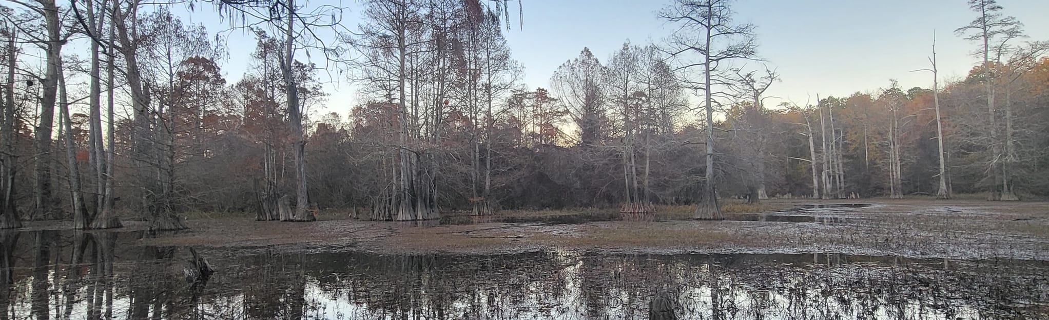 Audubon Arkansas Trail: Wood Thrush Trail, Prothonotary Warbler Trail ...