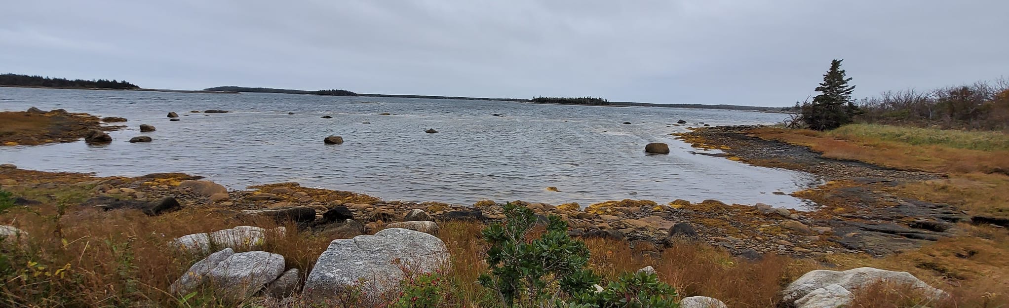 AllTrails | Chapel Gully Short and Long Loop: 1 Reviews, Map - Nova ...