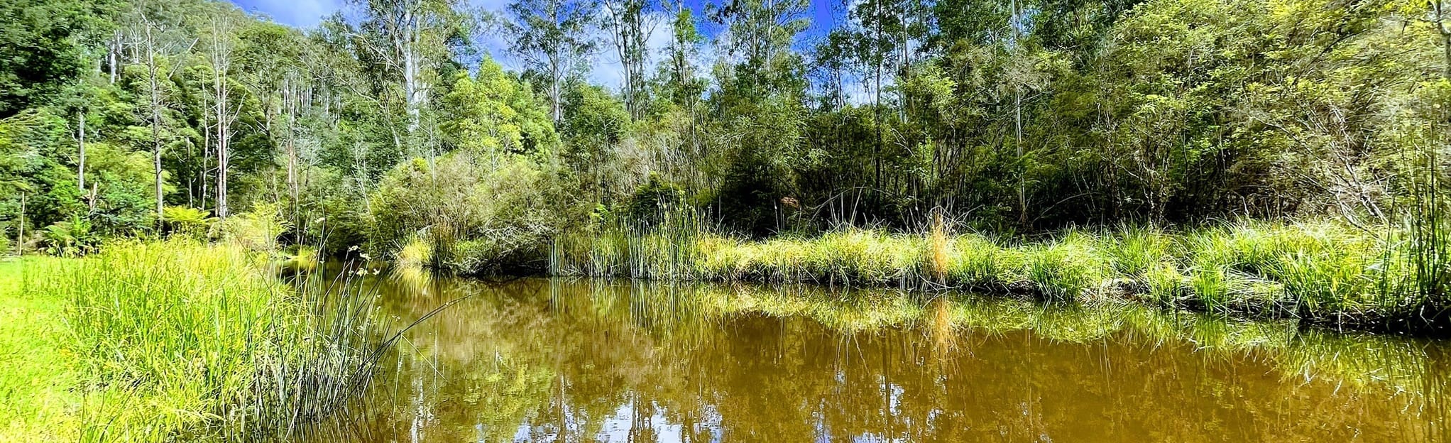 Bunyip Weir to Nash Creek: 3 Reviews, Map - Victoria, Australia | AllTrails