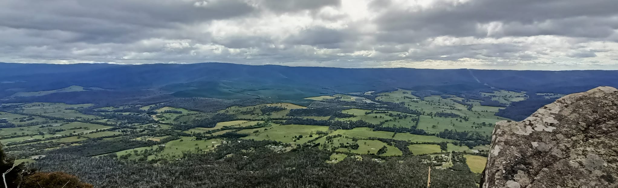 Neds Gully Track, Victoria, Australia - 6 Reviews, Map | AllTrails