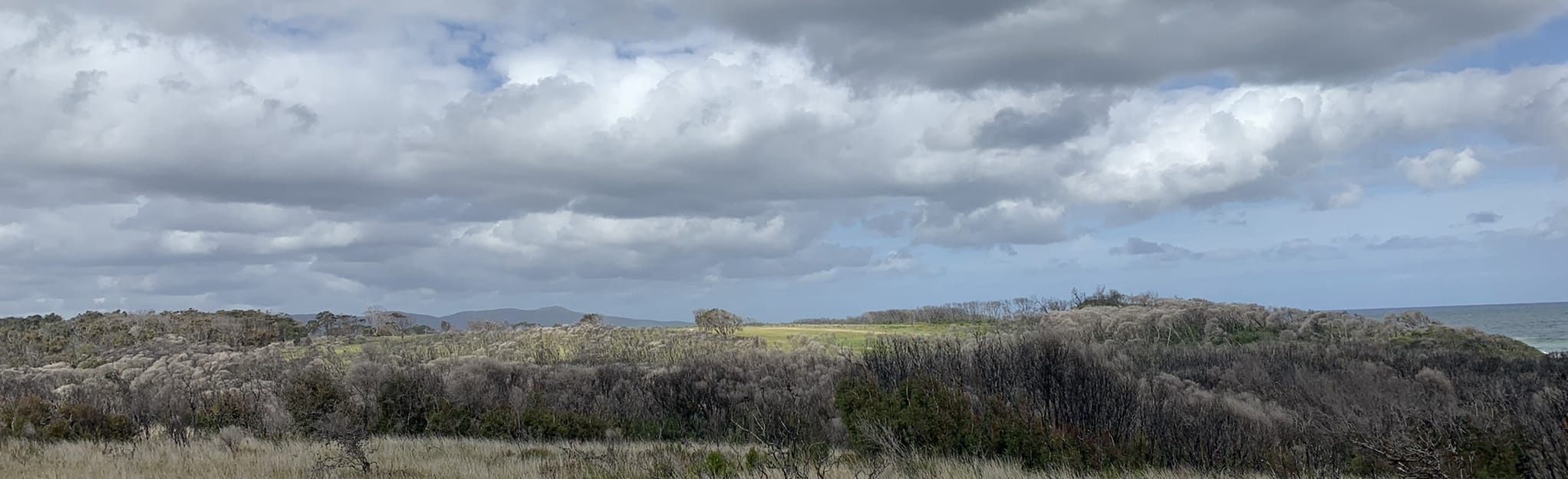 Casuarina and Heathland Walk: 18 Reviews, Map - Victoria, Australia ...