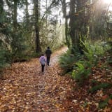 Red Town and Wildside Trails, Washington - 603 Reviews, Map | AllTrails