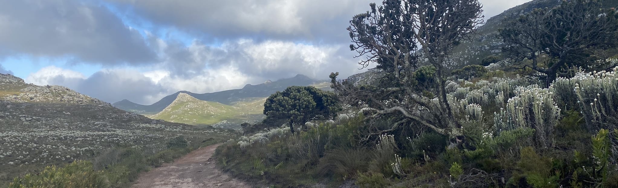 Nellie's Pond and Muizenberg Cave via Silvermine Gate 2: 78 Reviews ...