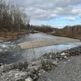 Levee Loop, Pennsylvania - 198 Reviews, Map | AllTrails