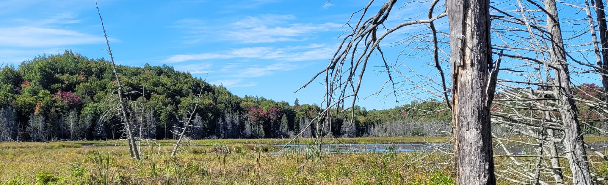 Lost River Trail, Quebec, Canada - 7 Reviews, Map | AllTrails