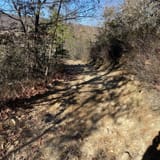 Taskers Gap Loop, Virginia - 33 Reviews, Map | AllTrails