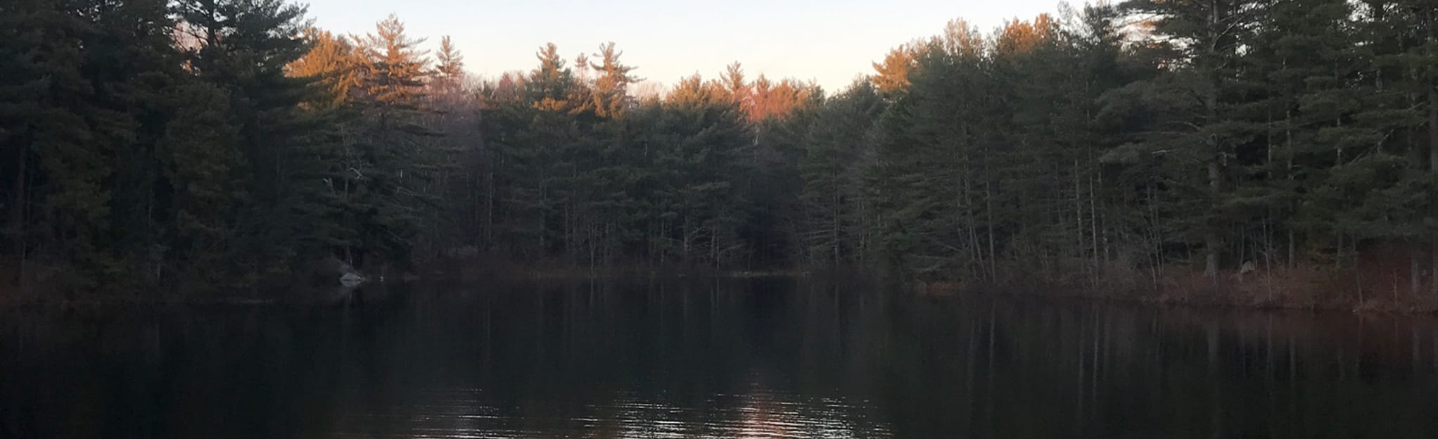 Lillian Cassier Bog Loop - New Hampshire | AllTrails